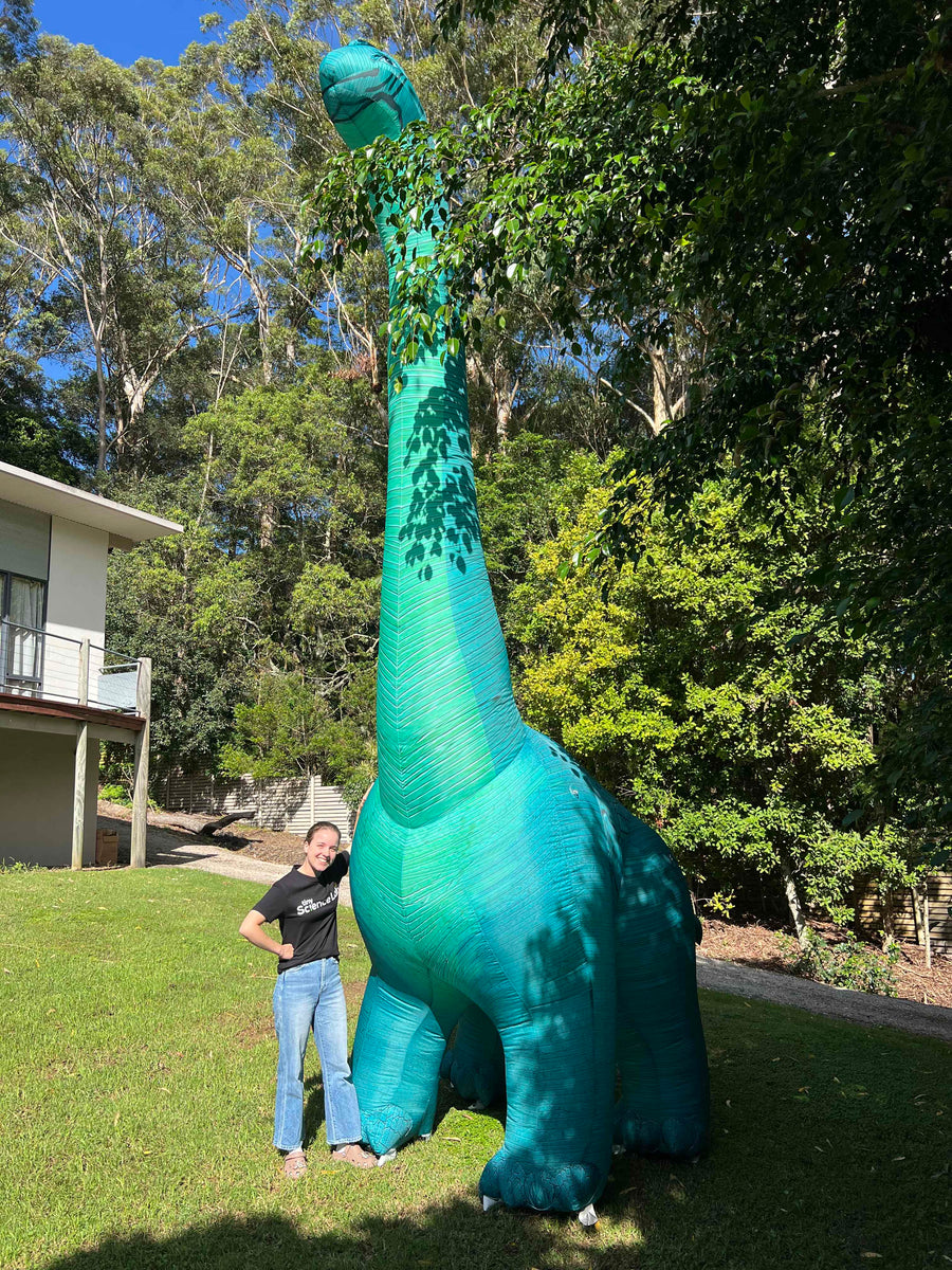 Huge inflatable dinosaur Brachiosaurus 5 metres tall – Tiny Science Lab
