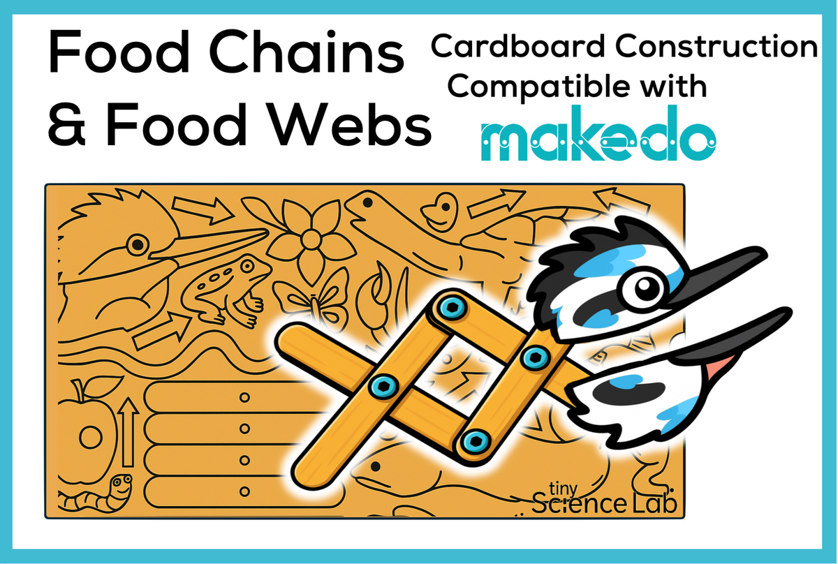Food Chains Australian Food Web Cardboard Construction Model Kit | Mak ...