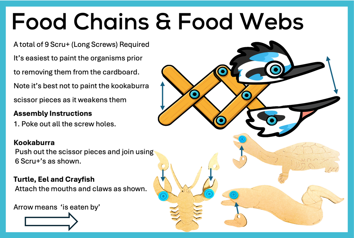 Food Chains Australian Food Web Cardboard Construction Model Kit | Mak ...