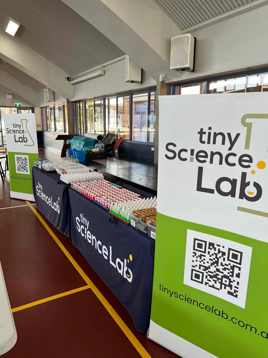 School STEM Incursions - Hands-on Practical Chemistry Day – Tiny ...